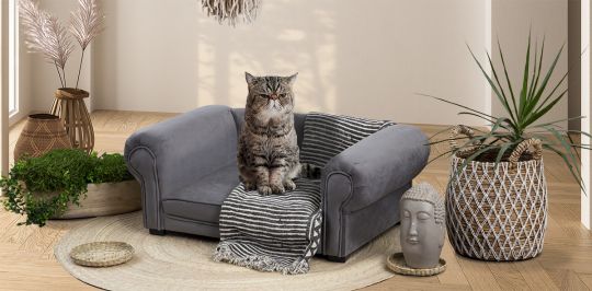 cama-pet-lizza-gris-oxford